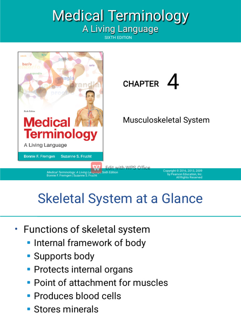 Chapter 4 - The Musculoskeletal System | PDF | Skull | Vertebral Column