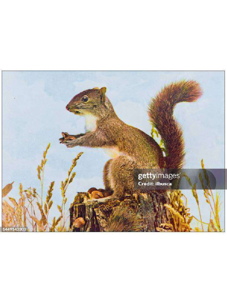 Gettyimages 1449142303 612x612 | PDF