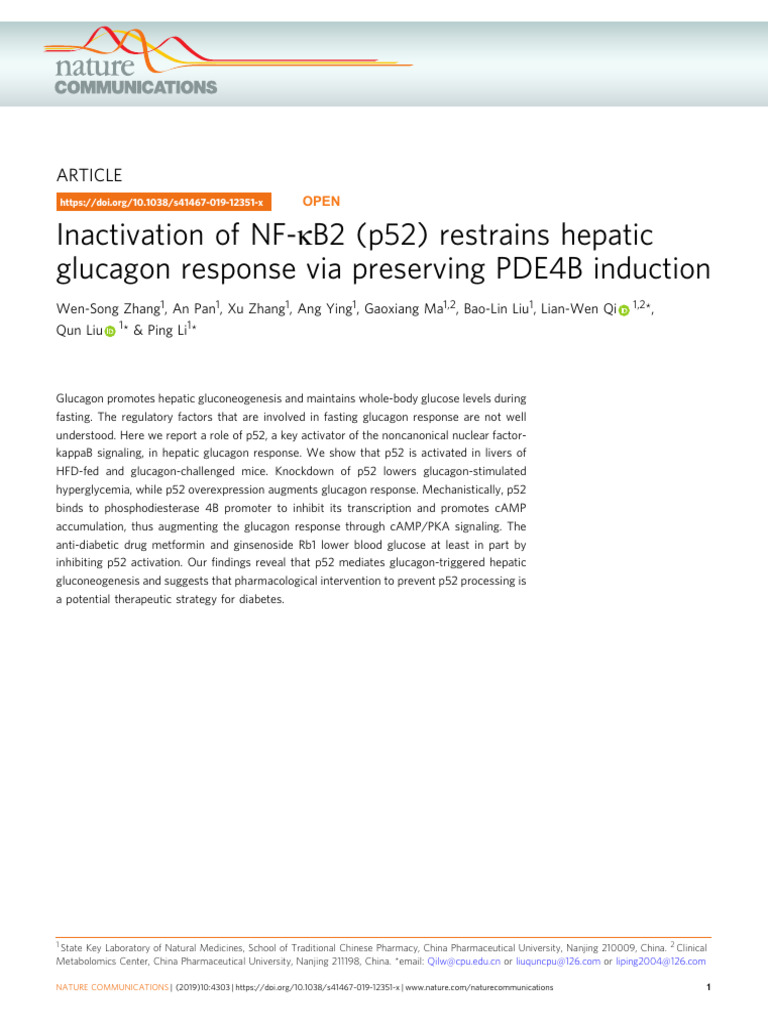 Inactivation of NF-B2 (p52) Restrains Hepatic Glucagon Response Via Preserving PDE4B Induction ...