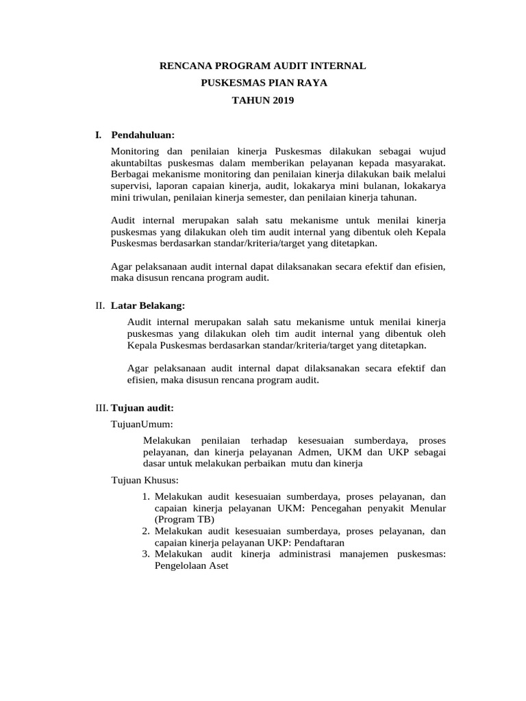 Contoh Rencana Program Audit Internal Puskesmas Tahunan | PDF