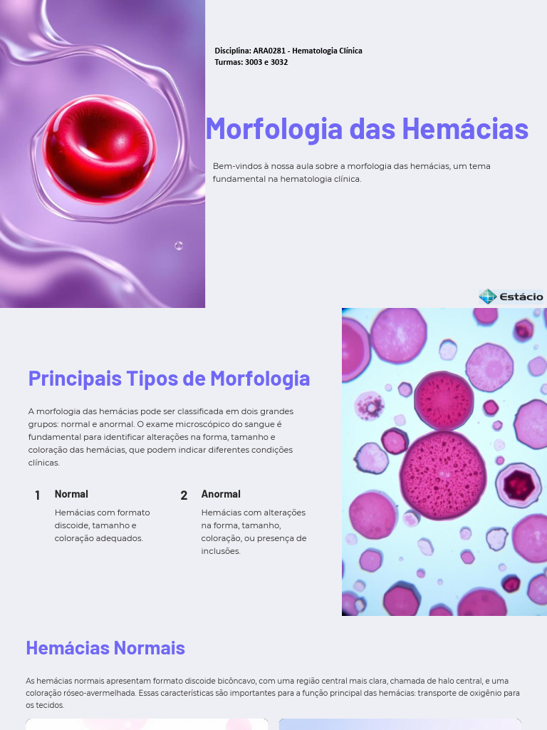 AULA 4 Morfologia Das Hemacias - Anemia Hemolítica | PDF | Anemia | Sangue