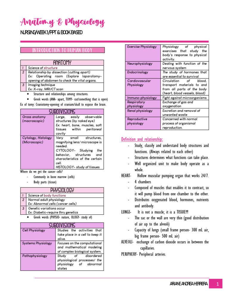 Introduction to Human Anatomy & Physiology | PDF | Human Body ...