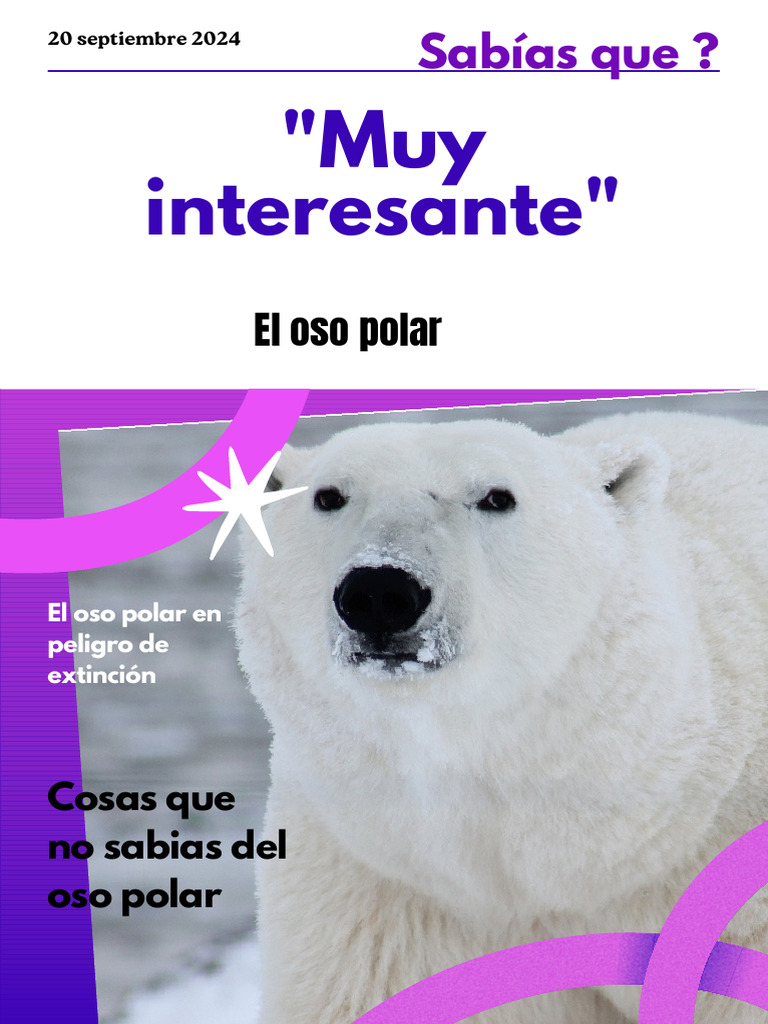 Oso Polar: Peligro de Extinción | PDF | Oso polar | Osos
