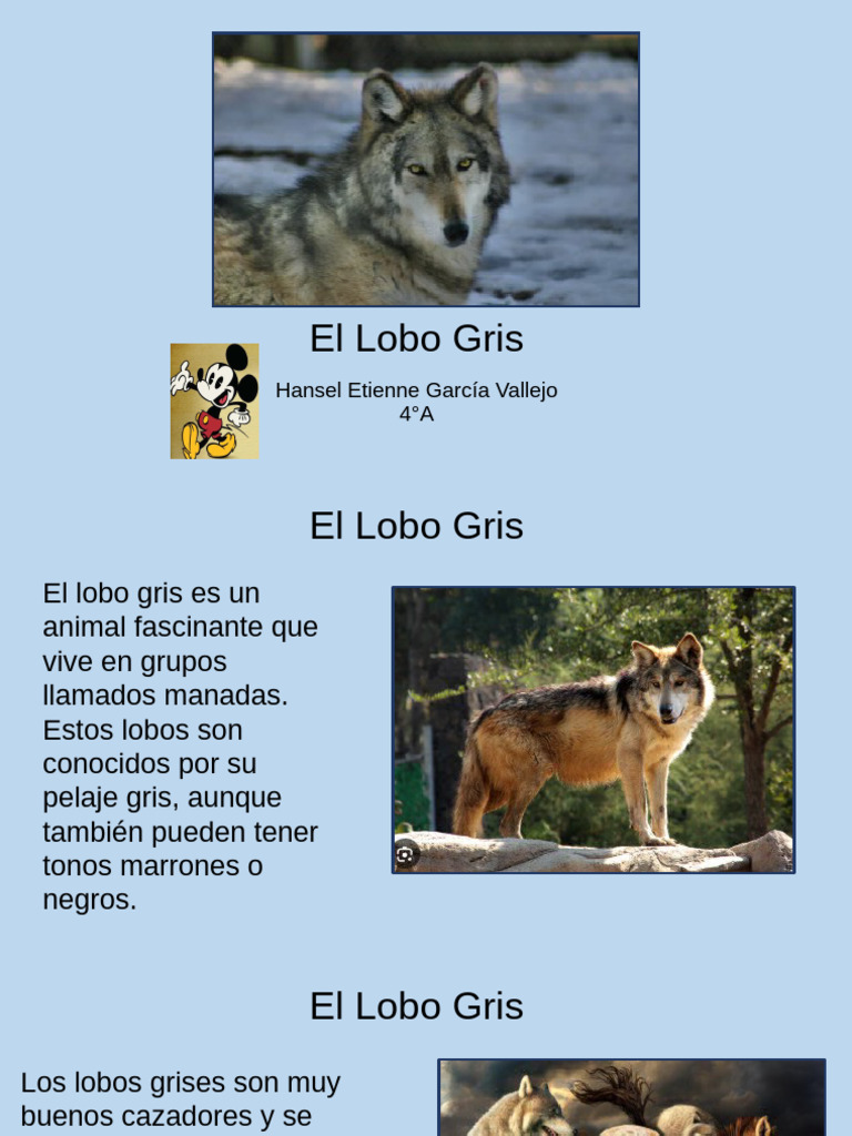 Lobo Gris Hansel | PDF