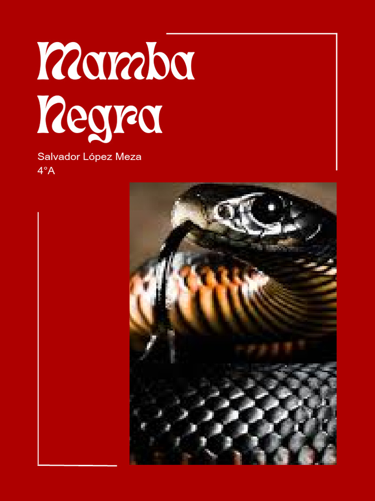 Revista Mamba Negra | PDF