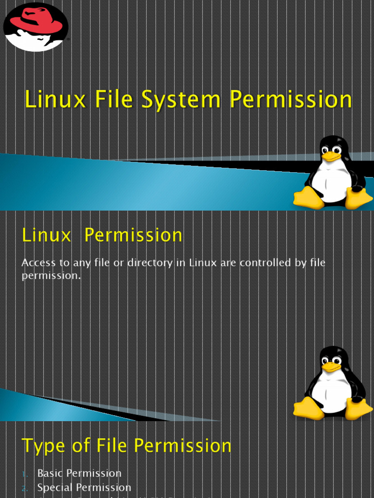 Linux File Permission Overview | PDF