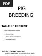 Classifying Swine Breeds for Production | PDF | Pig | Livestock