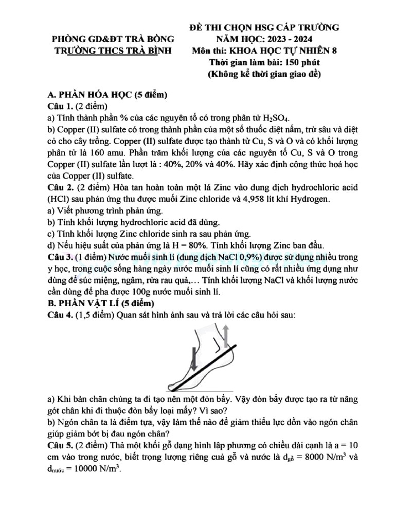 Đề gộp KHTN tham khảo THCS Trà Bình 2024 | PDF