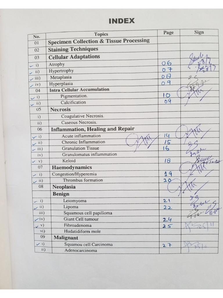 Pathology Practical PDF | PDF