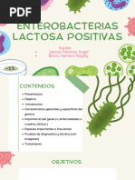 Citrobacter freundii: Características y Aislamiento | PDF | Las ...