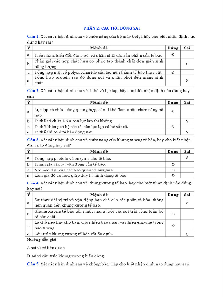 Phan II Cau Hoi Dung Saidocx - 1600 - PDF - Gdrive.vip | PDF