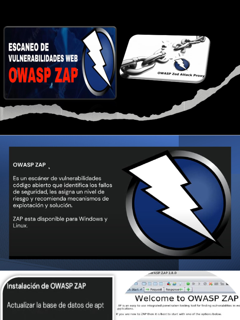 OWASP ZAP | PDF