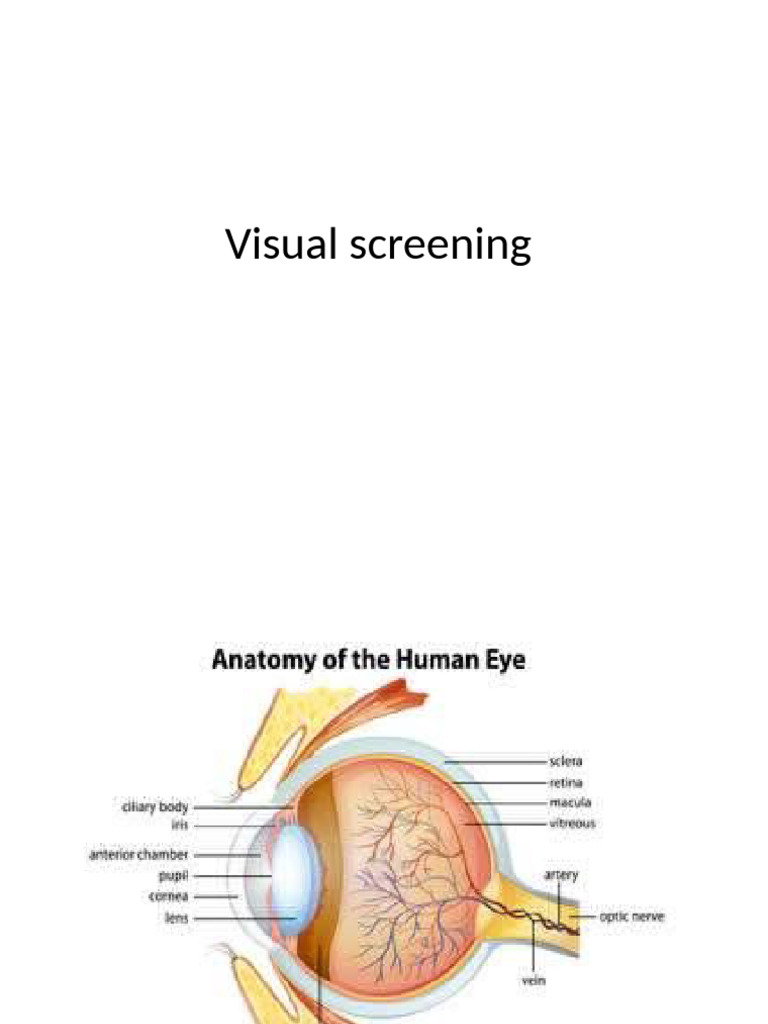 DR PMT Visual Screening FP1 | PDF | Visual Acuity | Vision