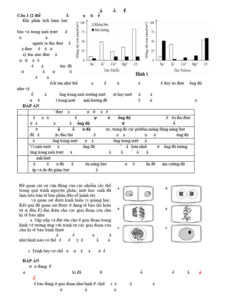 Câu hỏi HSG phần tế bào | PDF
