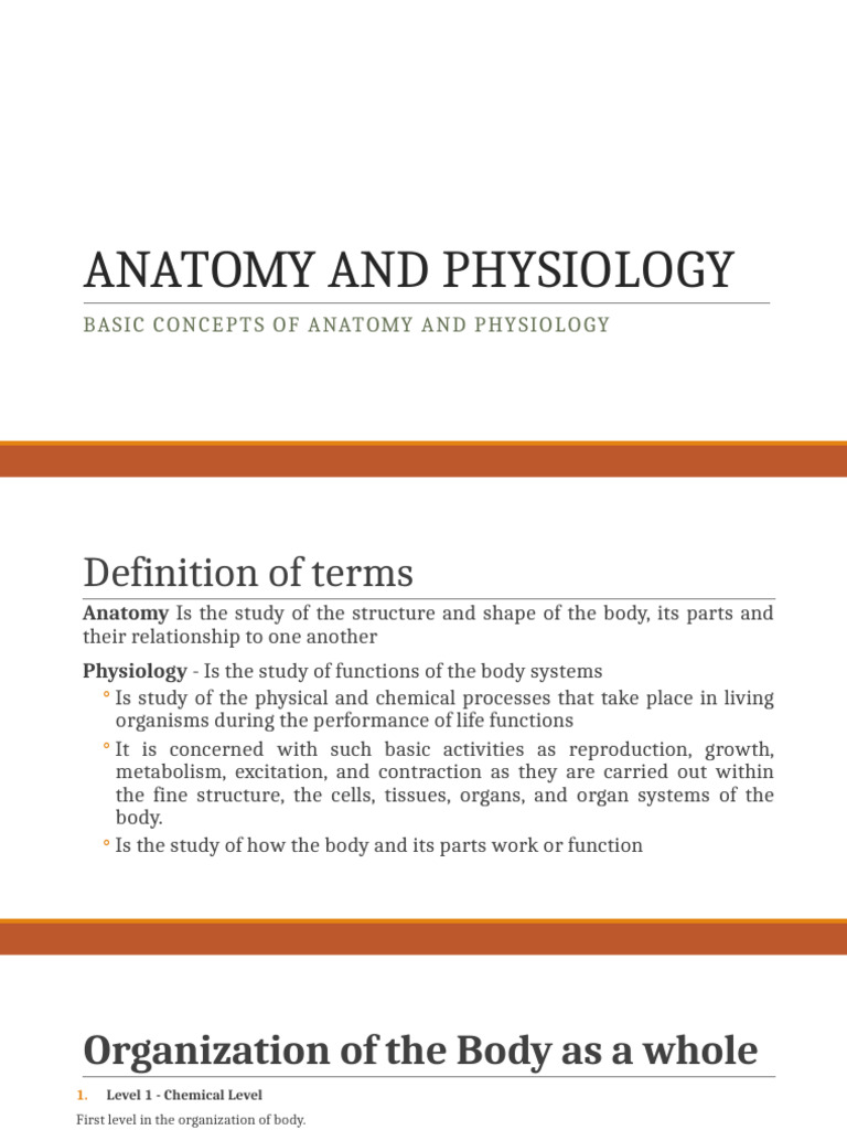 Basic Concepts of Anatomy and Physiology. | PDF | Epithelium | Mitosis