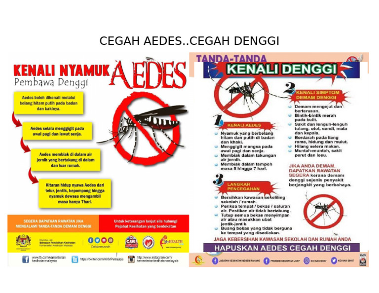 Cegah Aedes | PDF