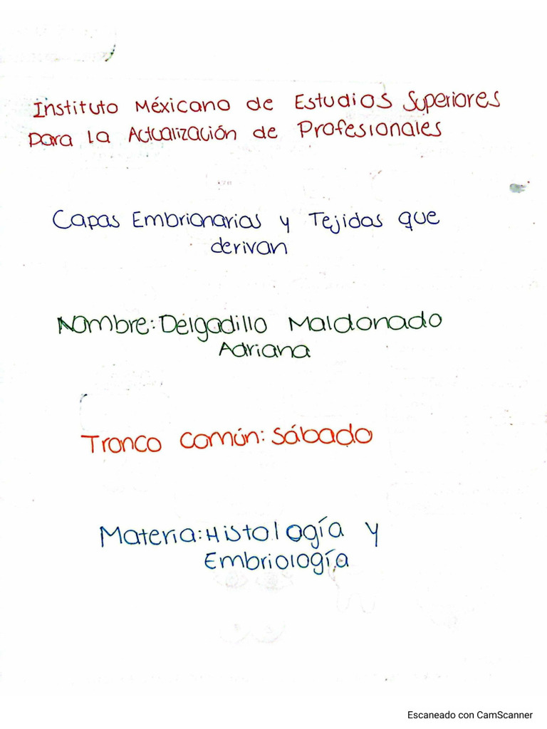 IMESAP. Capas Embrionarias | PDF
