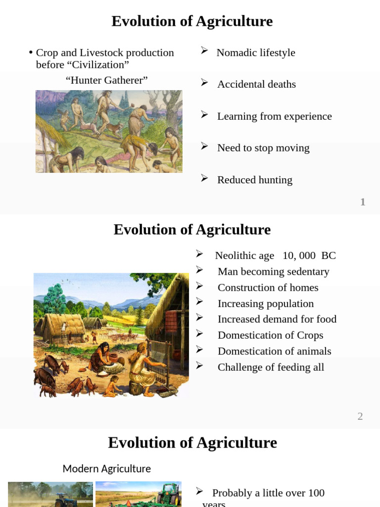 Evolution of Agriculture Ln1ppt | PDF | Agriculture | Green Revolution