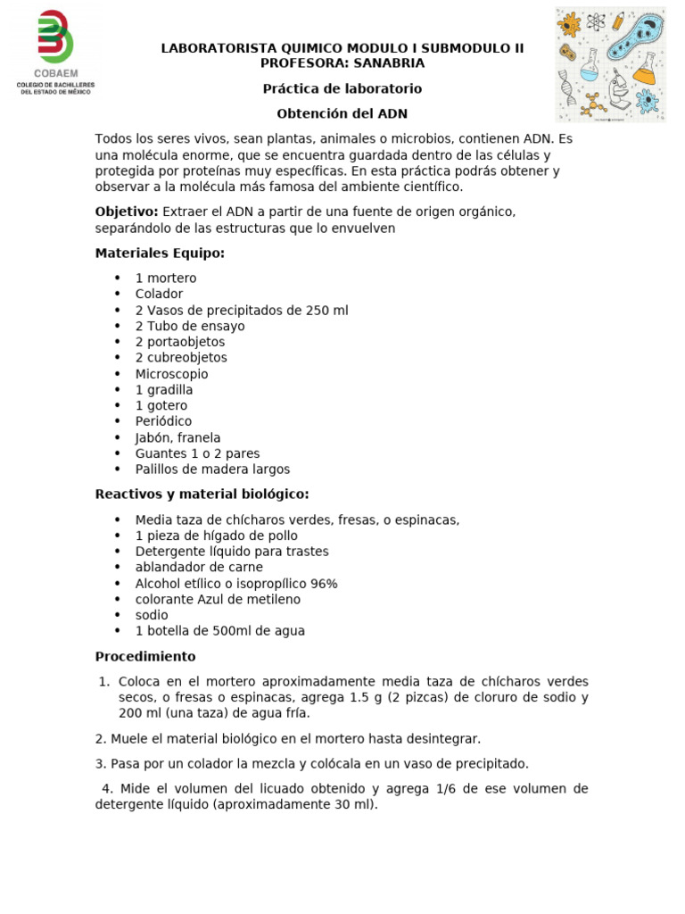 Práctica de Laboratorio 2 EXTRACCION DE ADN | PDF | Adn | Química