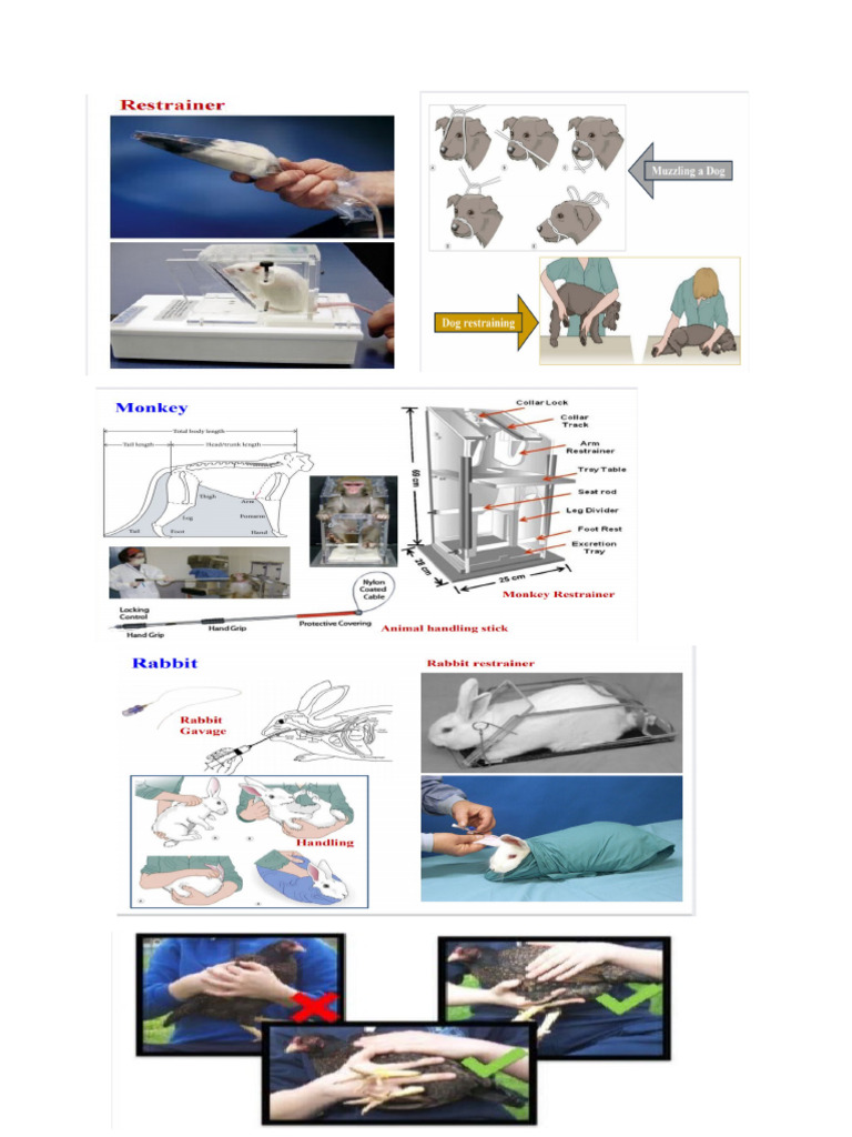 Restraining/casting Methods | PDF