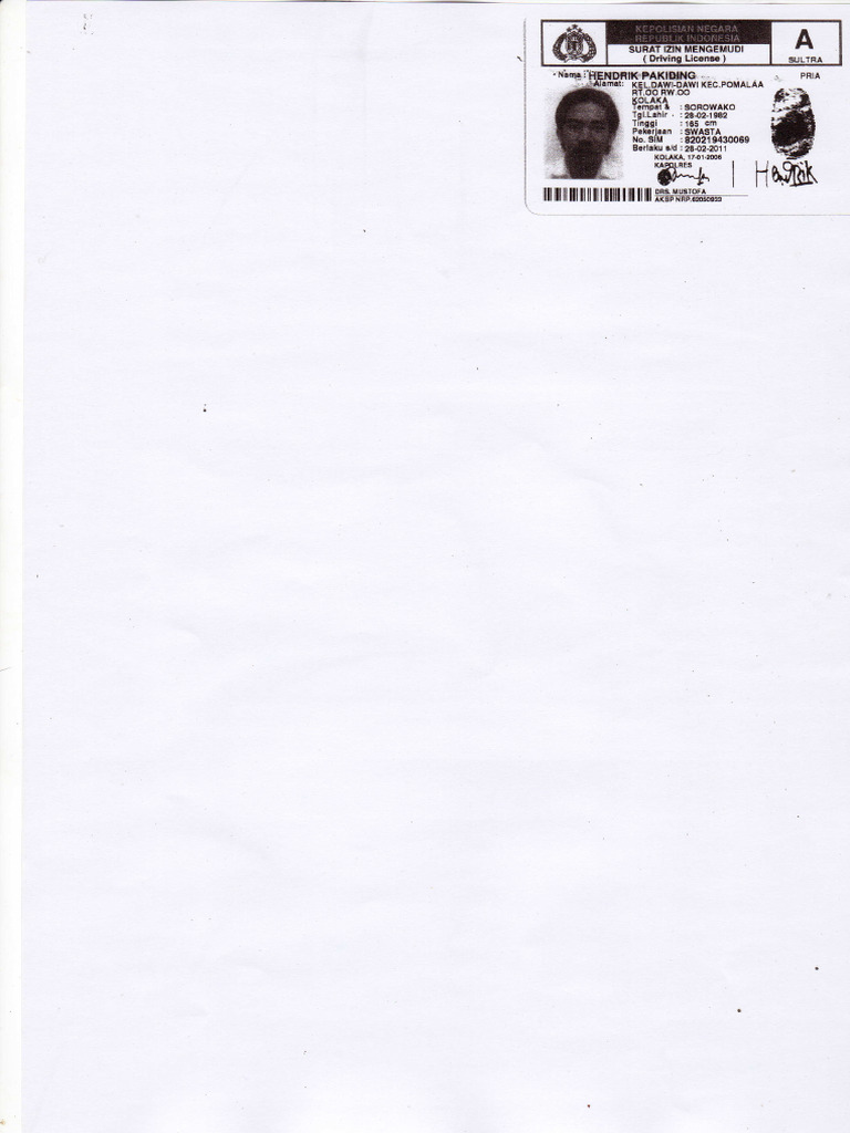 Hendrik P Scan SIM | PDF