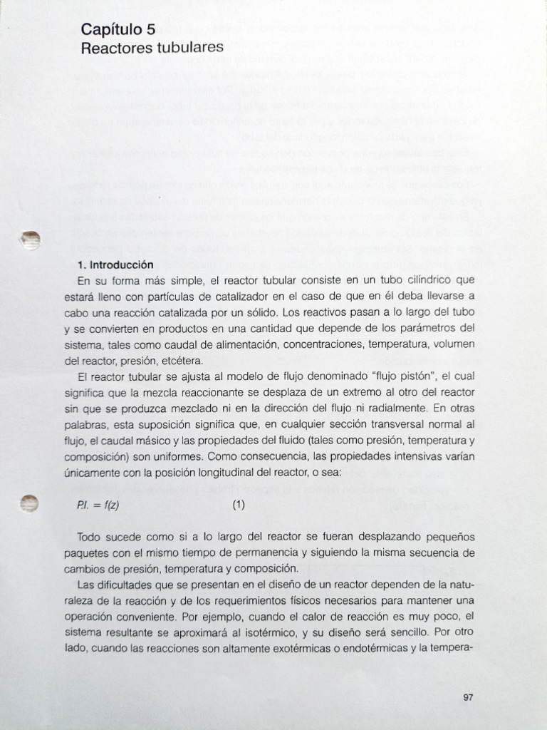 Capítulo 5 - Reactores Tubulares | PDF