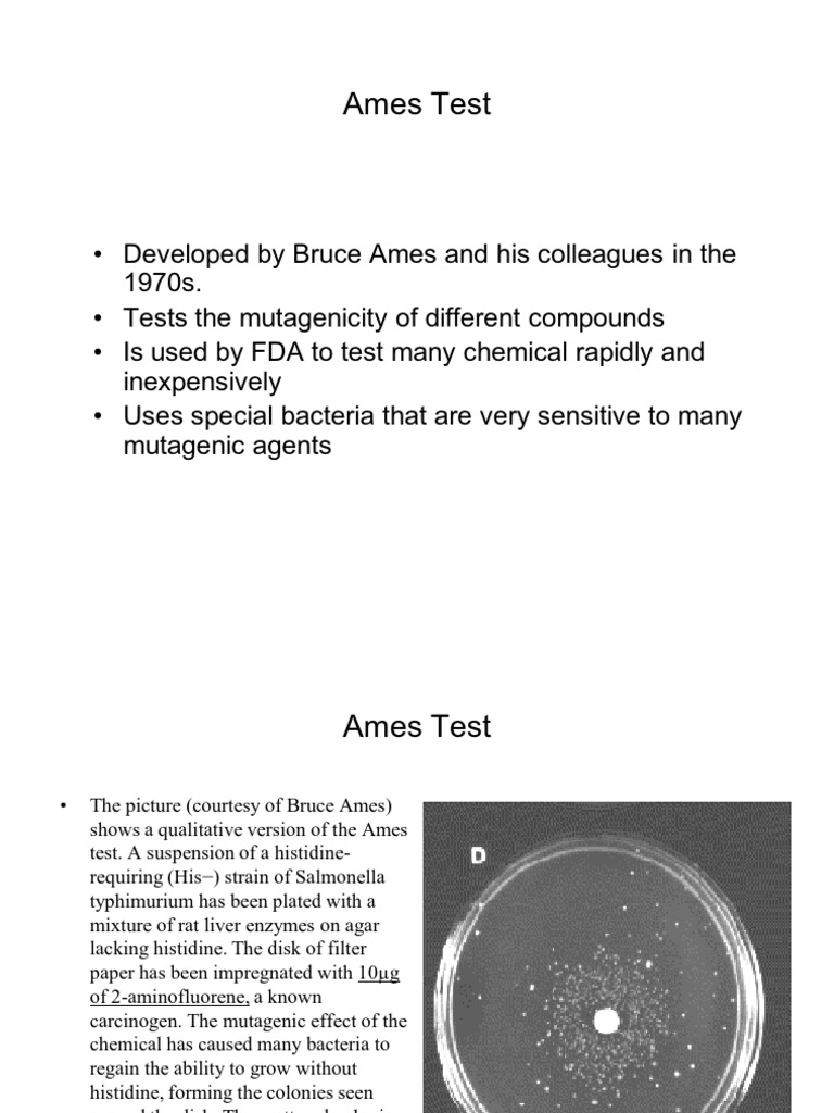 Ames Test | PDF | Mutagen | Mutation