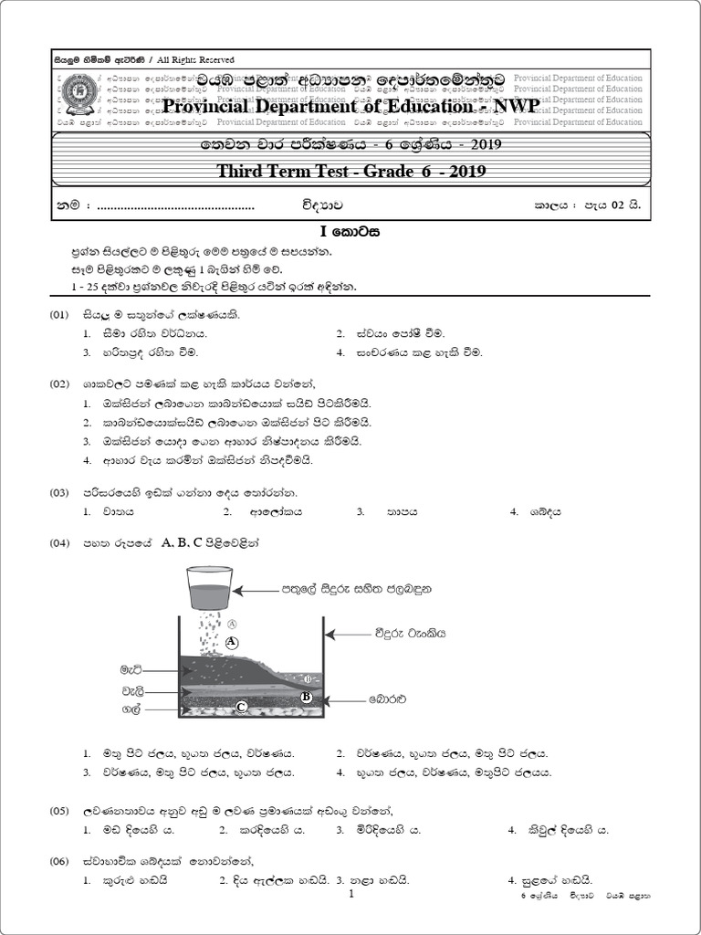 Grade 6 Science 3rd Term Test 2019 | PDF | Wellness