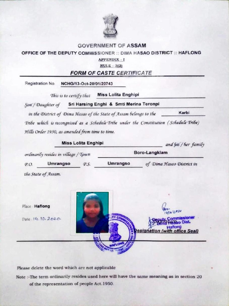 Loli Cast Certificate | PDF