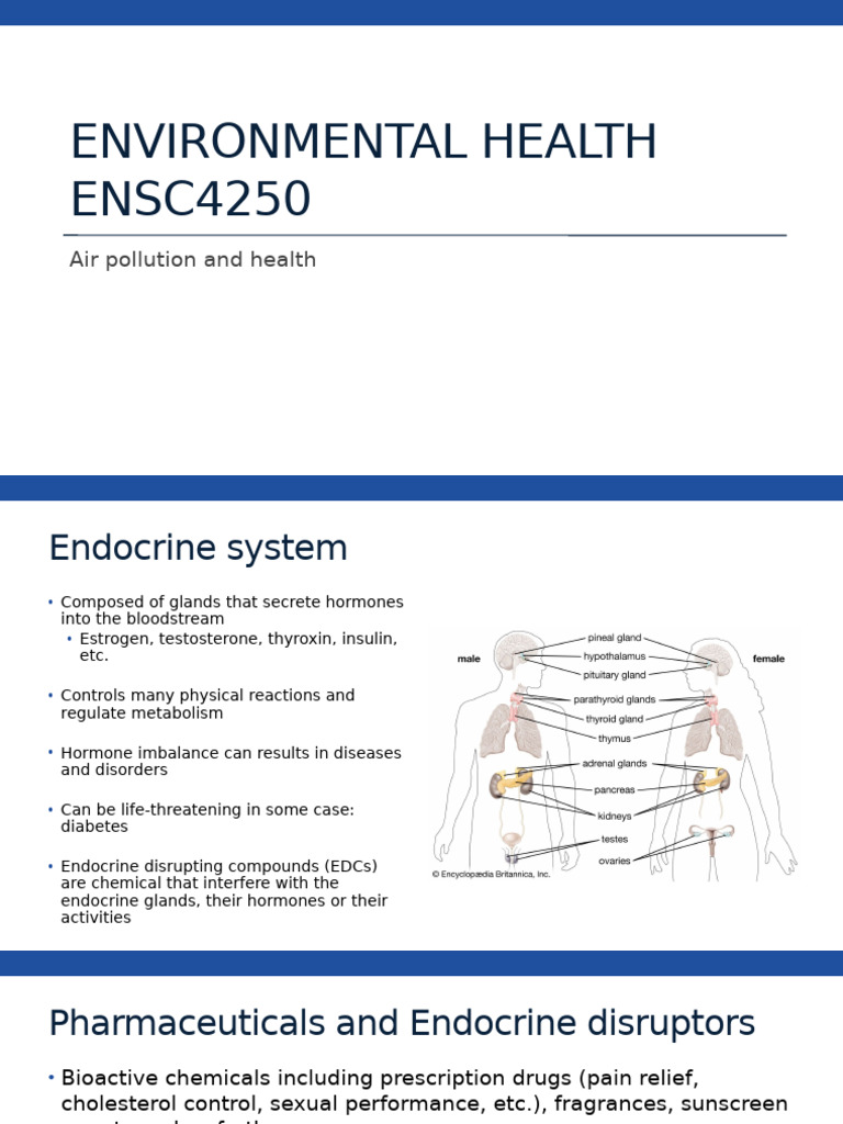 13.Endocrine_system | PDF | Endocrine System | Endocrinology