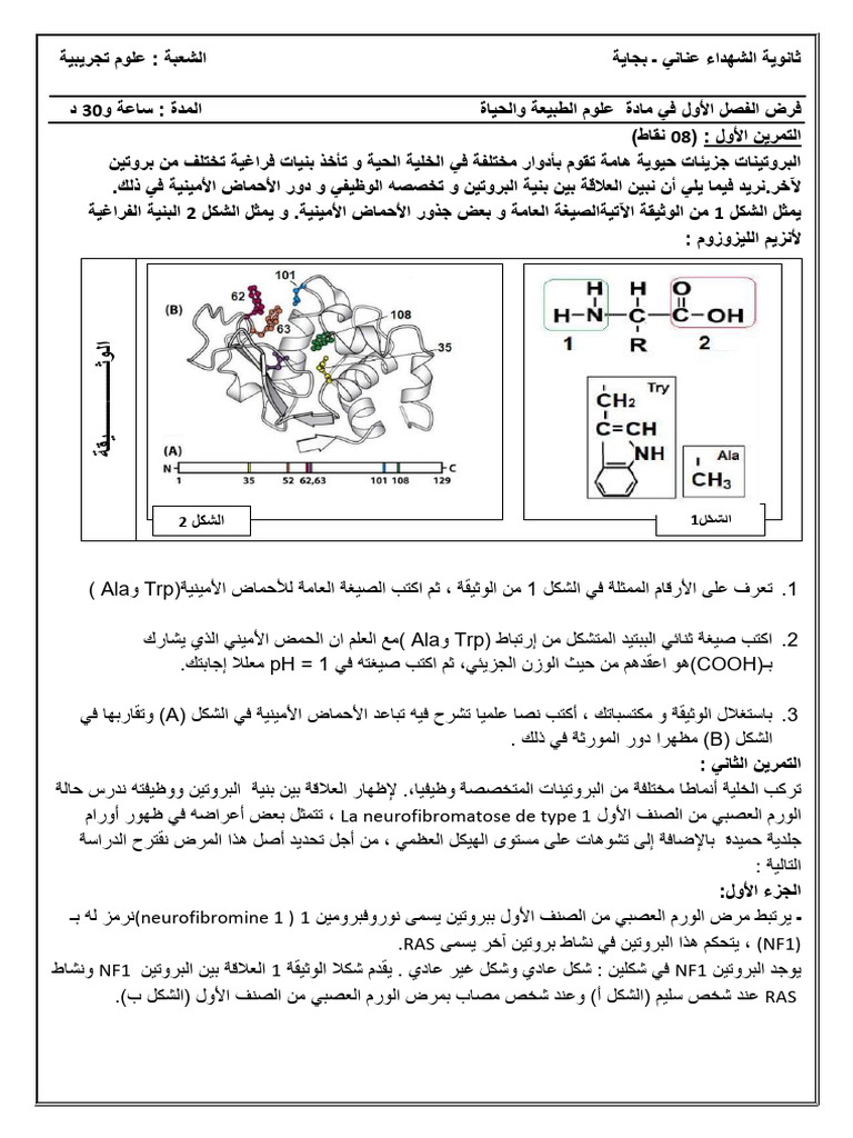 Dzexams 3as Sciences 2163820 | PDF