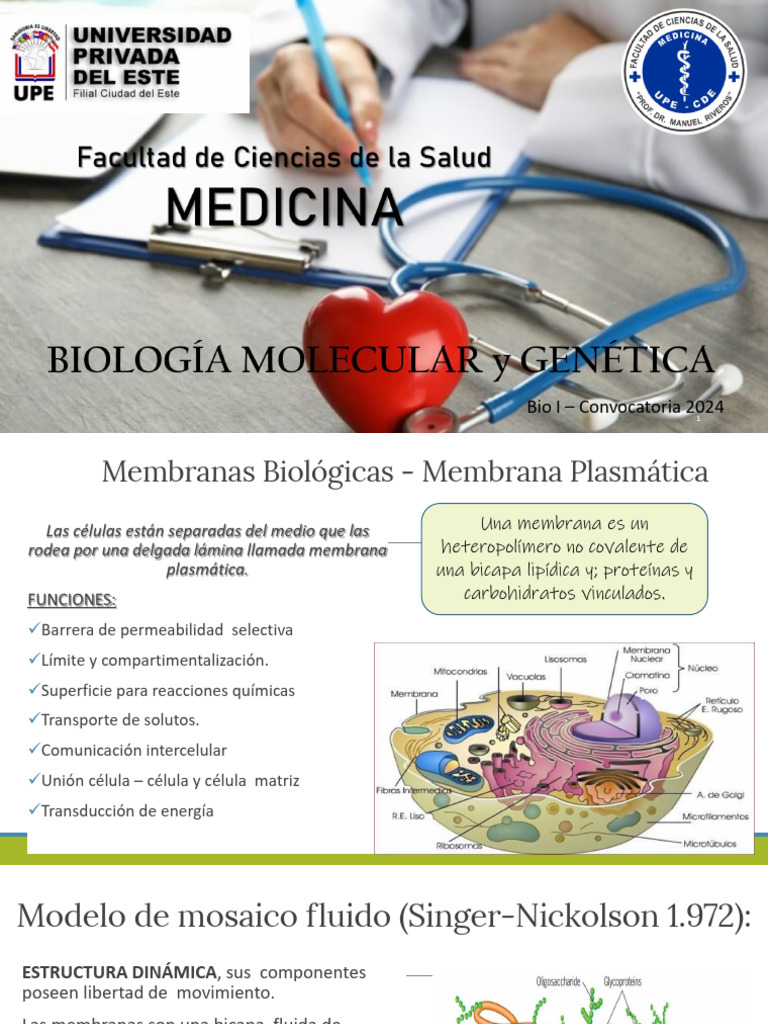 Membranas Biologicas | PDF | Membrana celular | Membrana biológica