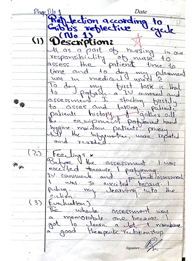 Gibbs's Model Reflection | PDF