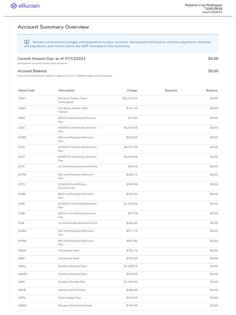 Account Summary Overview | PDF | Fee | Service Industries