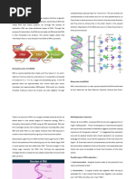 BIOTECHNOLOGY Principles & Processes | PDF | Plasmid | Restriction Enzyme