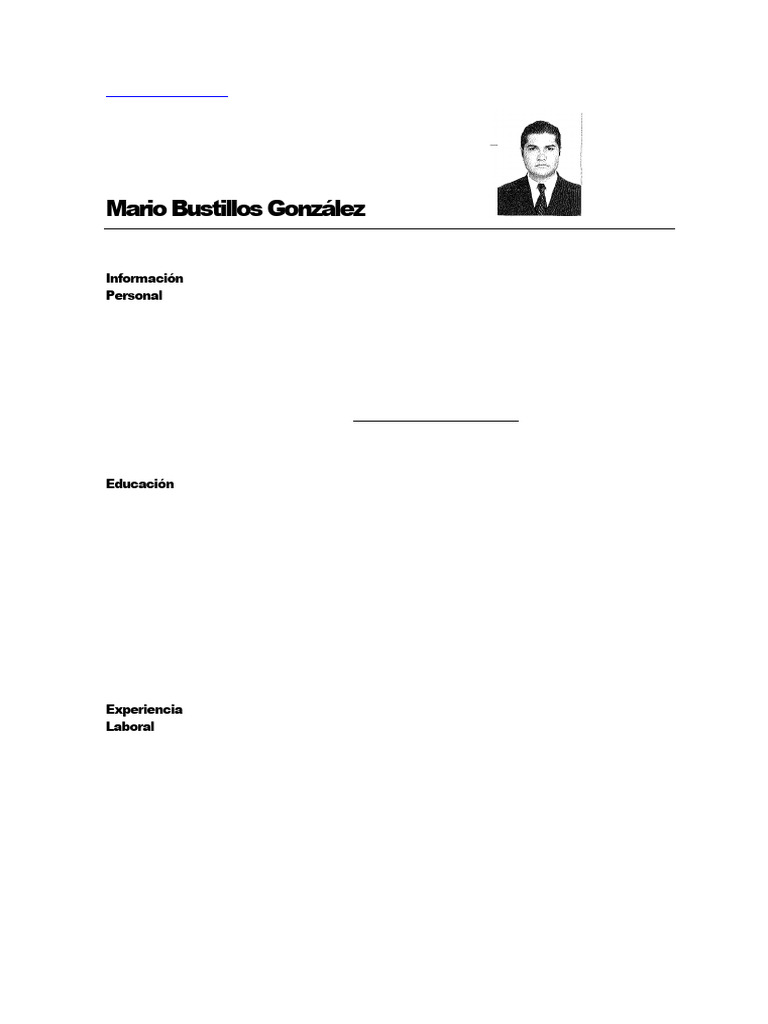 Curriculum Mario Bustillos González 2024 | PDF | Contador | Impuesto sobre la renta