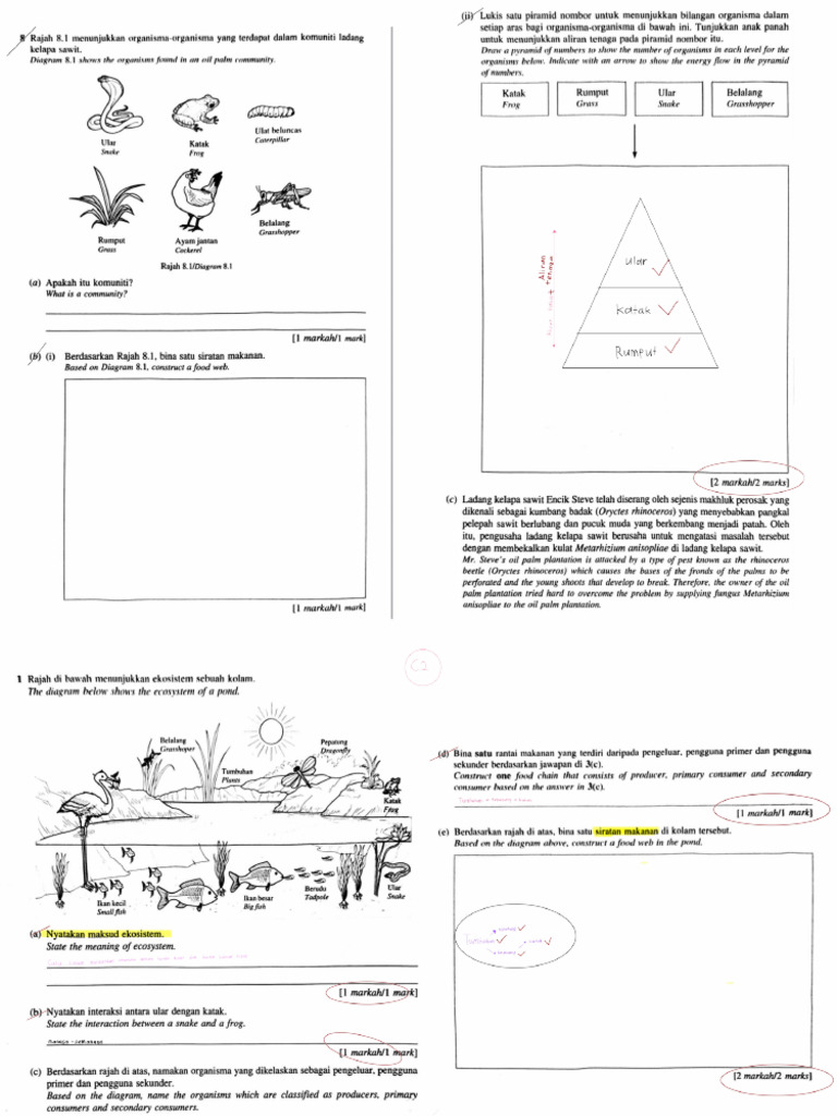 Sains Uasa Form 2 | PDF