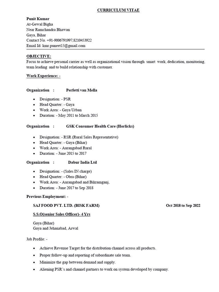CV-PUNIT KUMAR-Gaya | PDF | Business