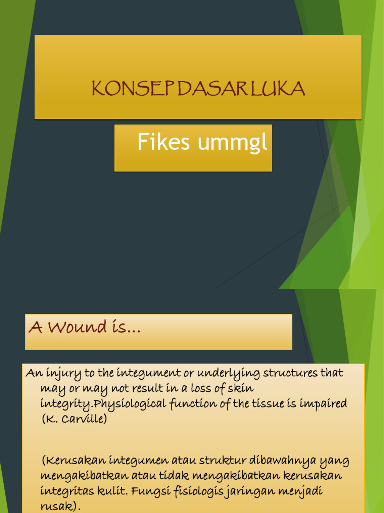 Konsep-Dasar-Luka 2020 | PDF