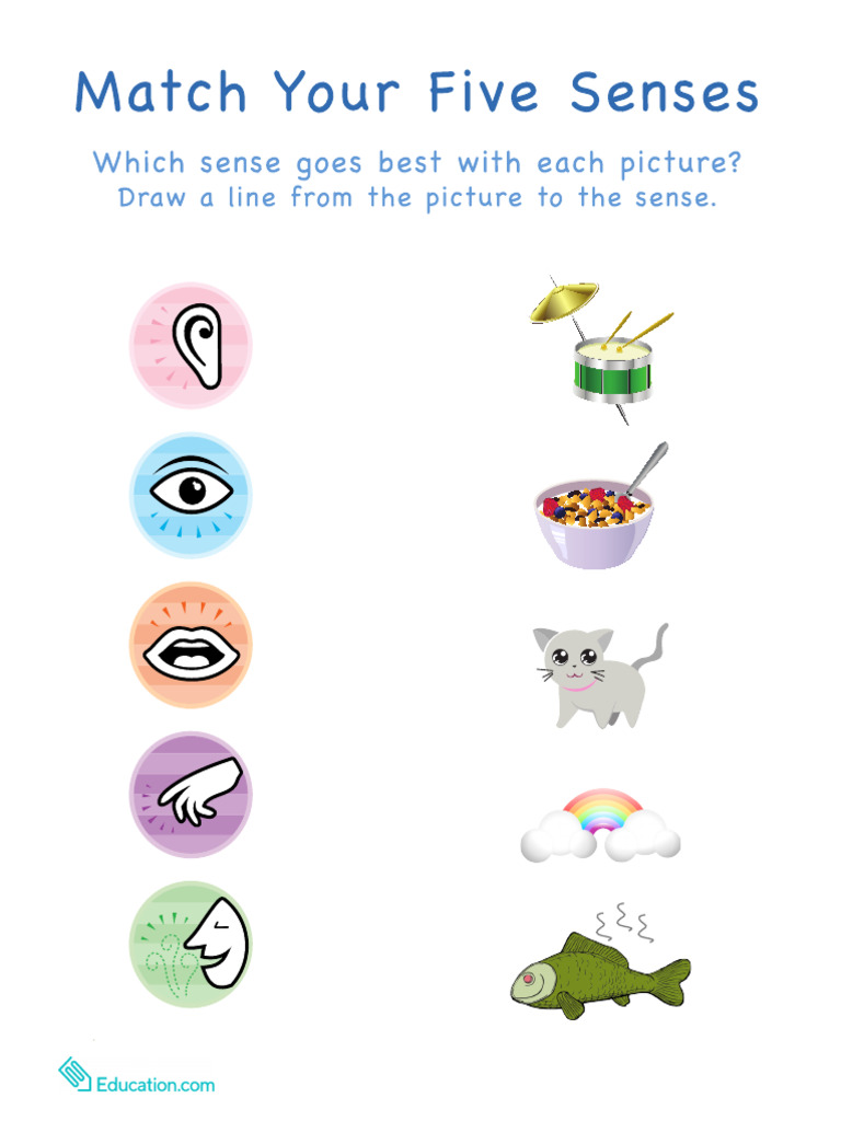 five-senses-match | PDF