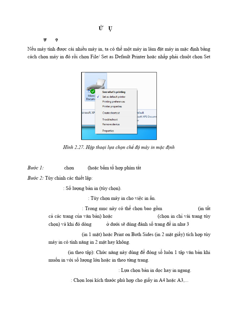 S D NG Máy in | PDF