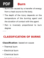 Comprehensive Burns Care Overview | PDF | Burn | Wound