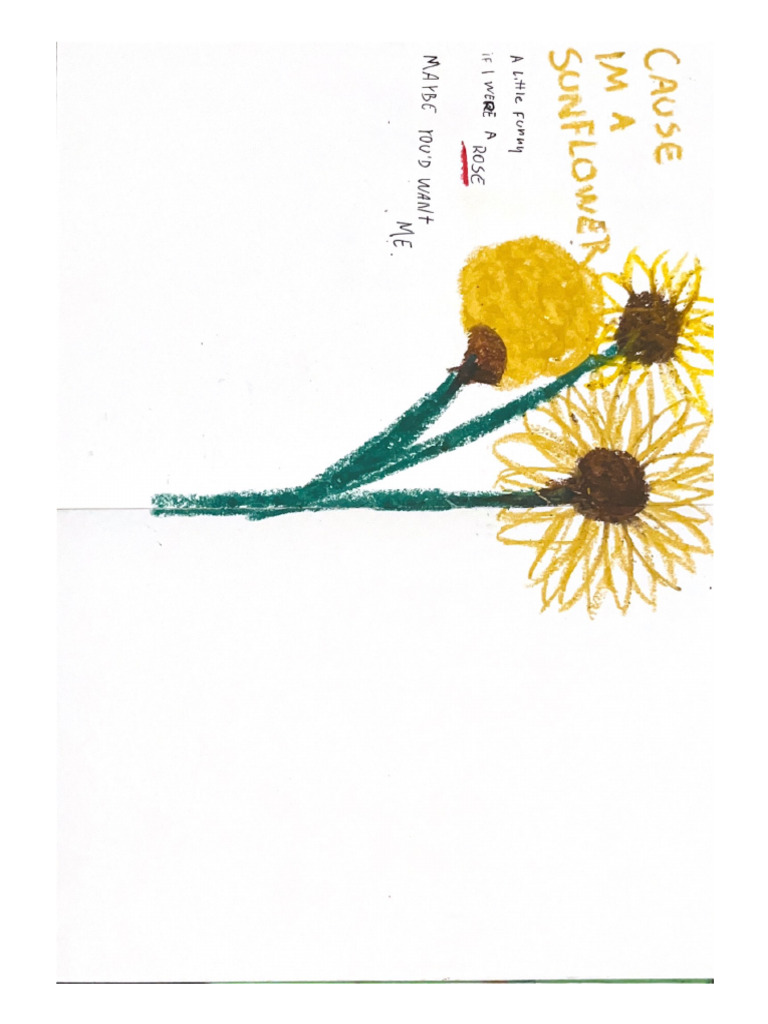 Sunflower | PDF