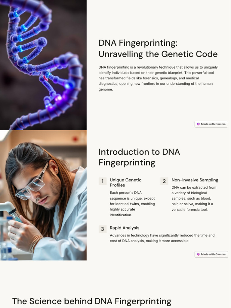 DNA Fingerprinting Unravelling The Genetic Code 241101 121309 | PDF ...
