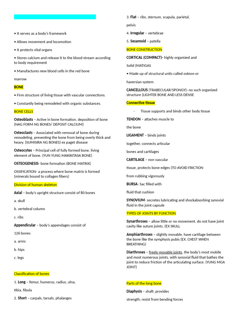Anatomy And Physiology Of Skeletal System Pdf Bone Skeleton