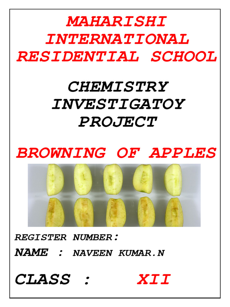 Bucket Chemistry Project | PDF | Chemistry