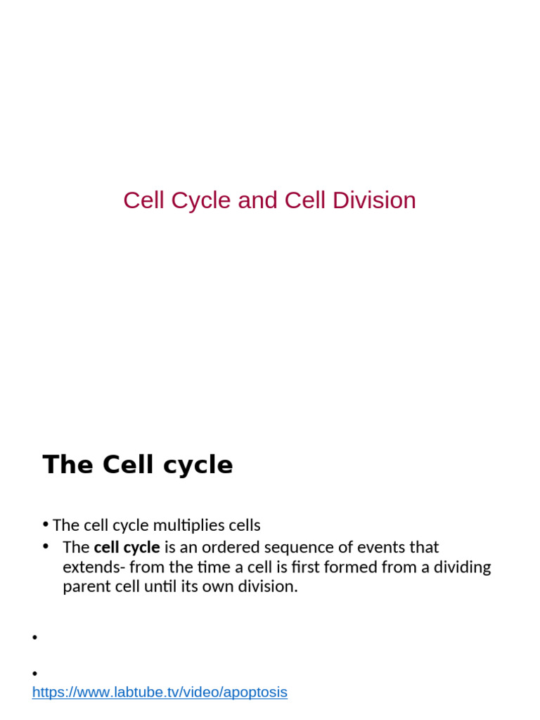Cell Cycle Basics for Biology Students | PDF | Meiosis | Mitosis