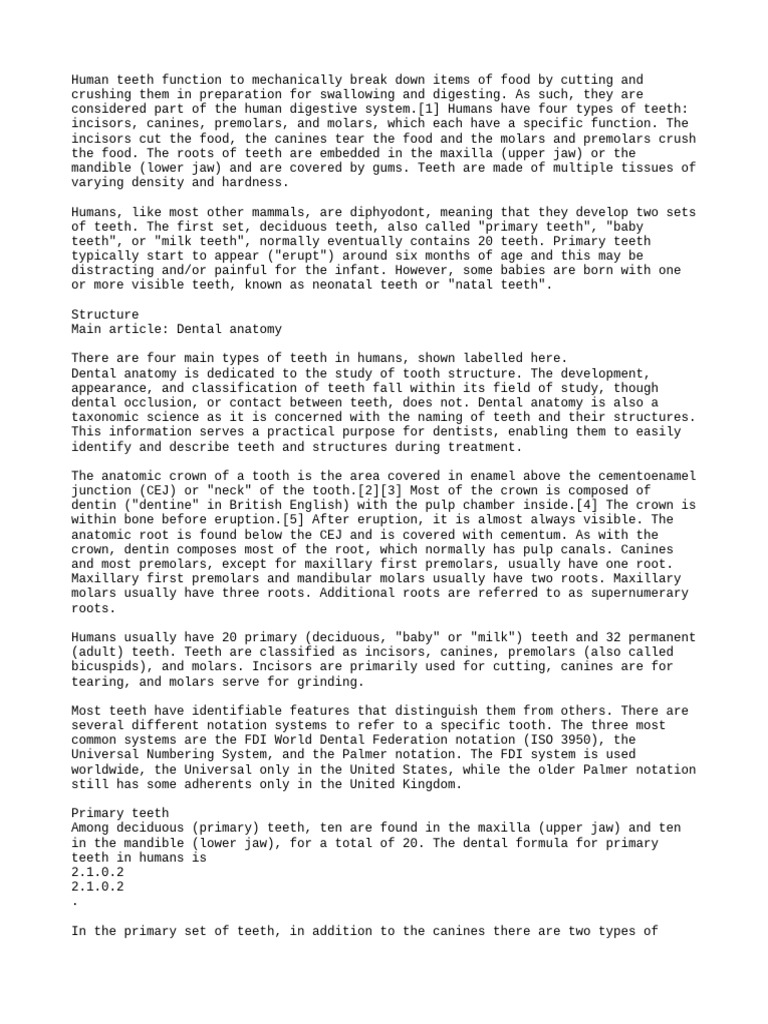 Human tooth | PDF | Human Tooth | Dental Anatomy