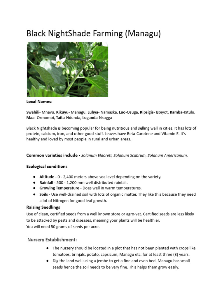 African_Nightshade_Guide | PDF | Horticulture | Agriculture