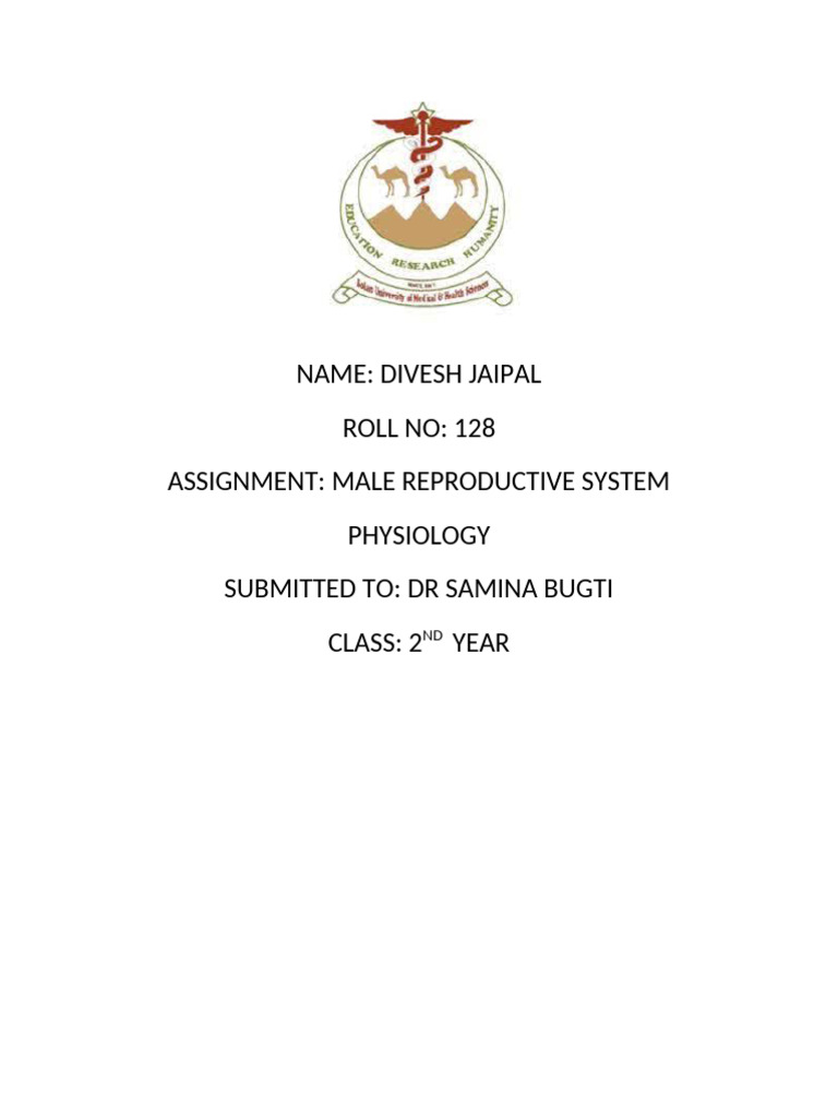 Male Reproductive System Physio Pdf Testicle Puberty